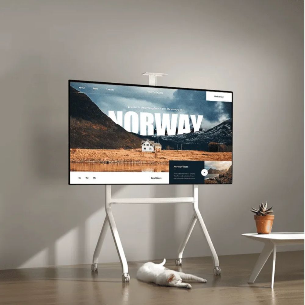 North Bayou NB P200 60-100" Heavy-Duty TV Stand Mobile Cart w/ Camera ...