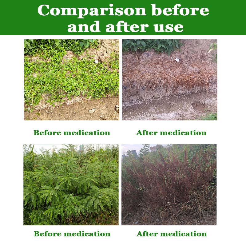 Best value Clearout herbicide grass killer Glyphosate Effective within ...