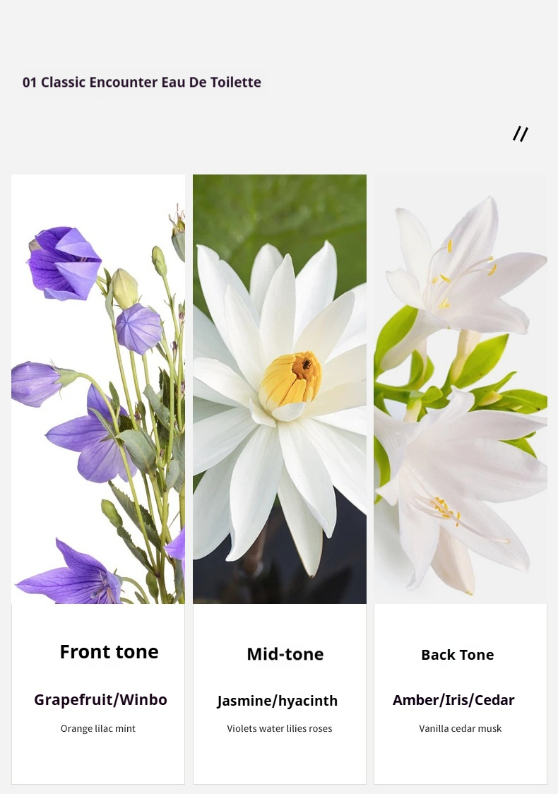 Gift Box Set Women's Perfume Set/Perfume Lasting/Coco Encounter Heart Talk Gift Set 30ml *3 ...