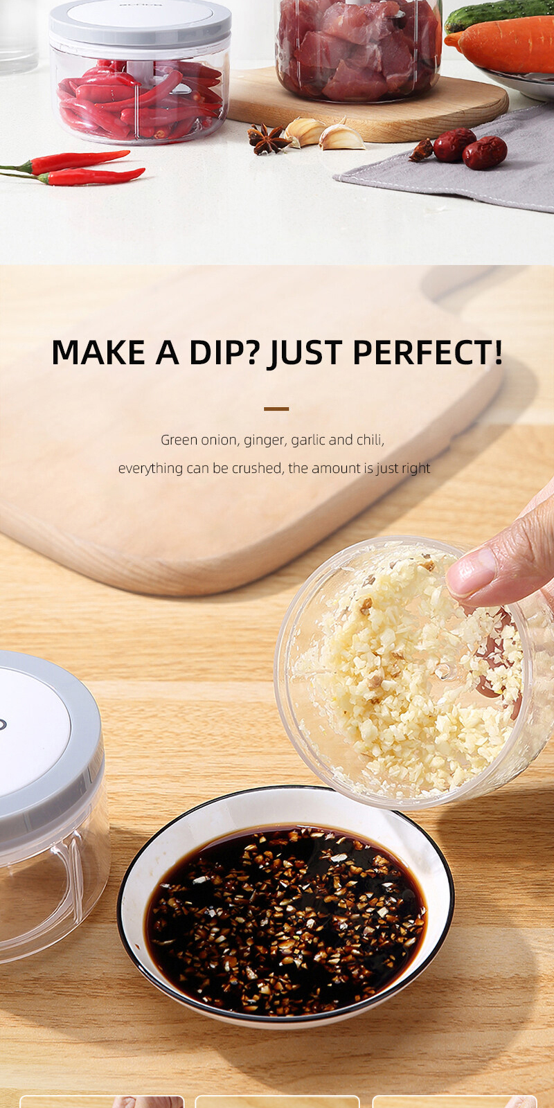 Ecoco Garlic Chopper and Onion Crusher Mini Meat Grinder Manual Food ...