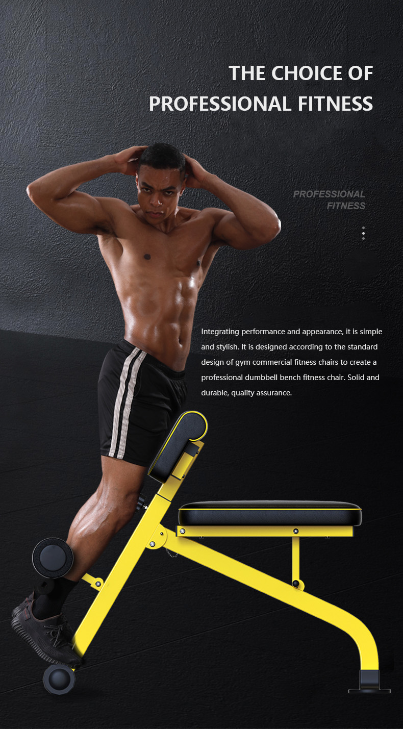 DONIUZ Household Dumbbell Bench Roman Chair Back Hyperextension ...
