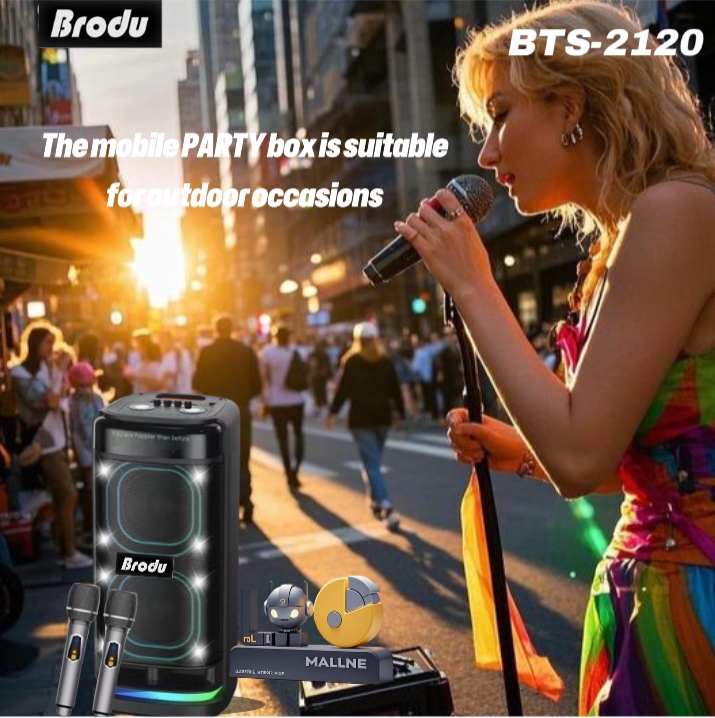 Brodu BTS-2120 Double bass Bluetooth karaoke speaker with Lyrics prompt screen Free 2 Wireless ...