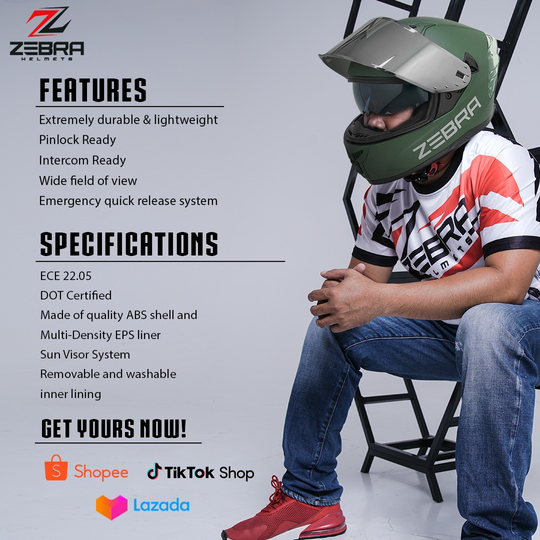 ZEBRA Helmet 2023 PARADIGM Full Face Motorcycle Helmet Dual Visor For ...