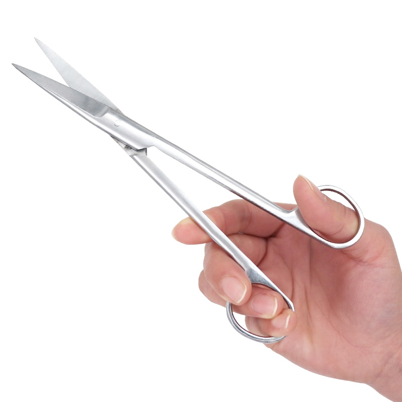 Stainless Steel Surgical Scissors for Gamefowl - Gunting Pang Manok ...