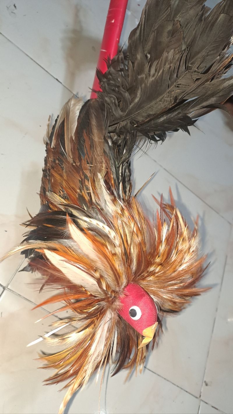 Chicken Dummy Training materials for derby preparation for cock ...