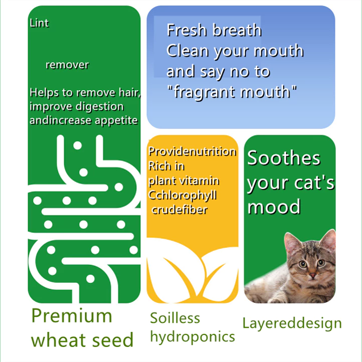 Cat Treats Cat Grass Organic Cat Seeds Send 8 Packs Organic Soilless ...