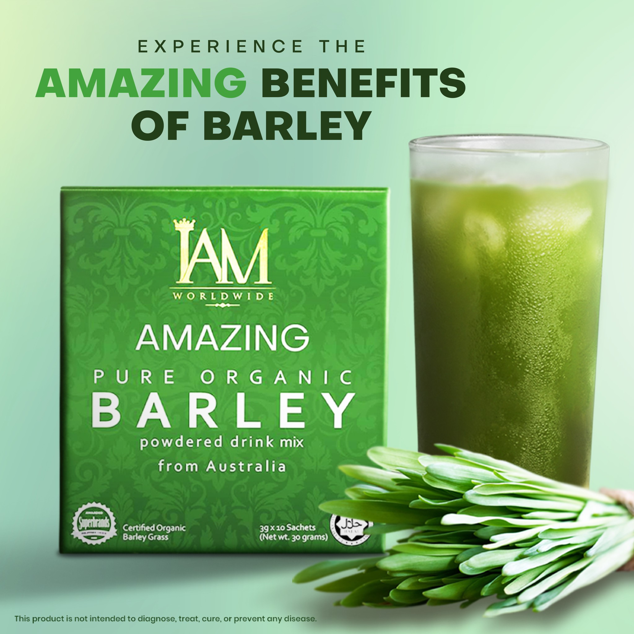 I Am Amazing Barley Grass Powder Pure Organic Barley Grass10sachets/1 ...