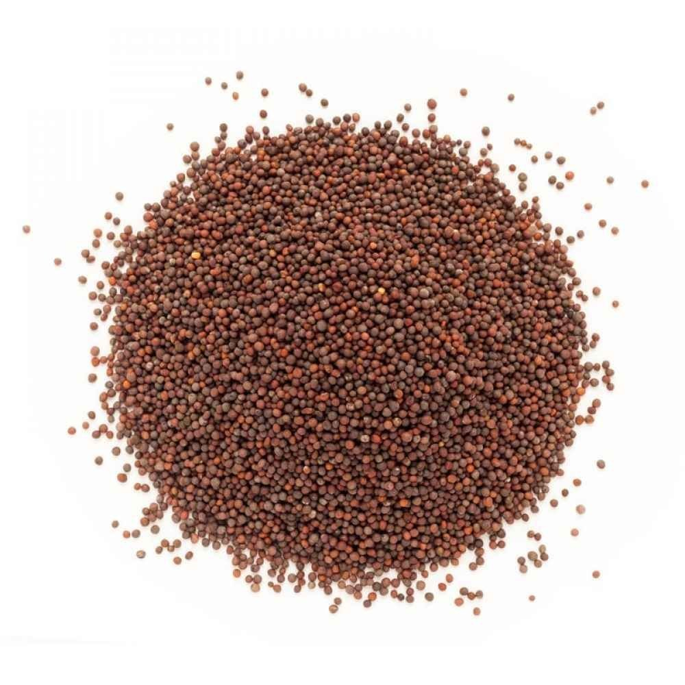 Mustard Seeds（500seeds/pack） - Mustasa - Mustasa/Leaf Mustard Go Grow ...