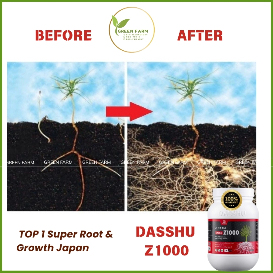 [BEST SELLER] DASSHU Z1000 250g - Super Root & Growth Japan helps ...