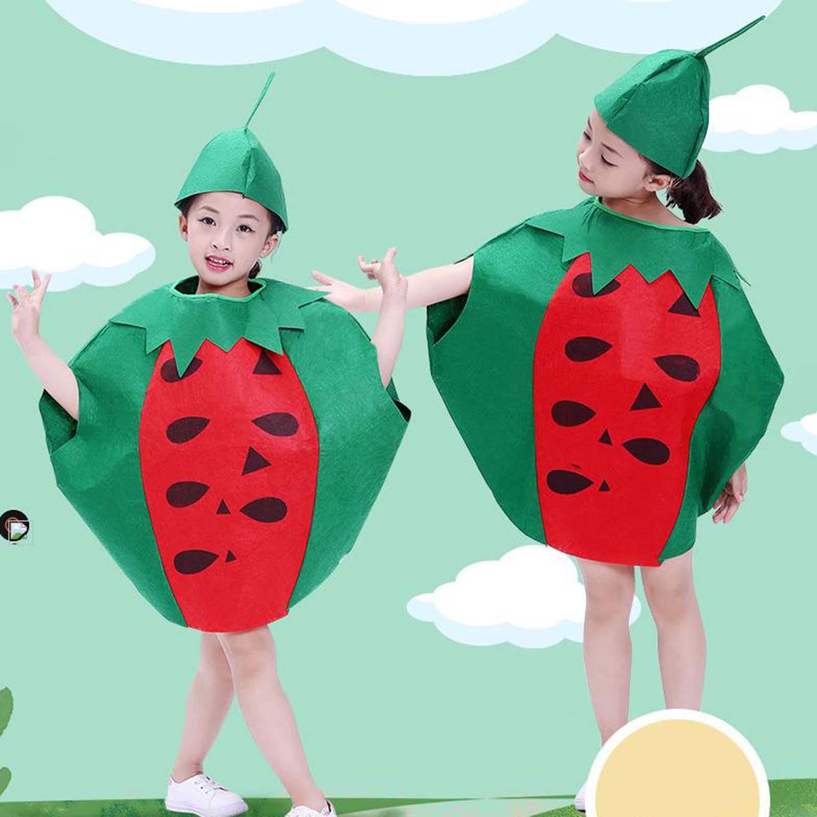 Nutrition Month Watermelon / Pakwan Vegetables and Fruits Cosplay Costume For Kids | Shopee ...