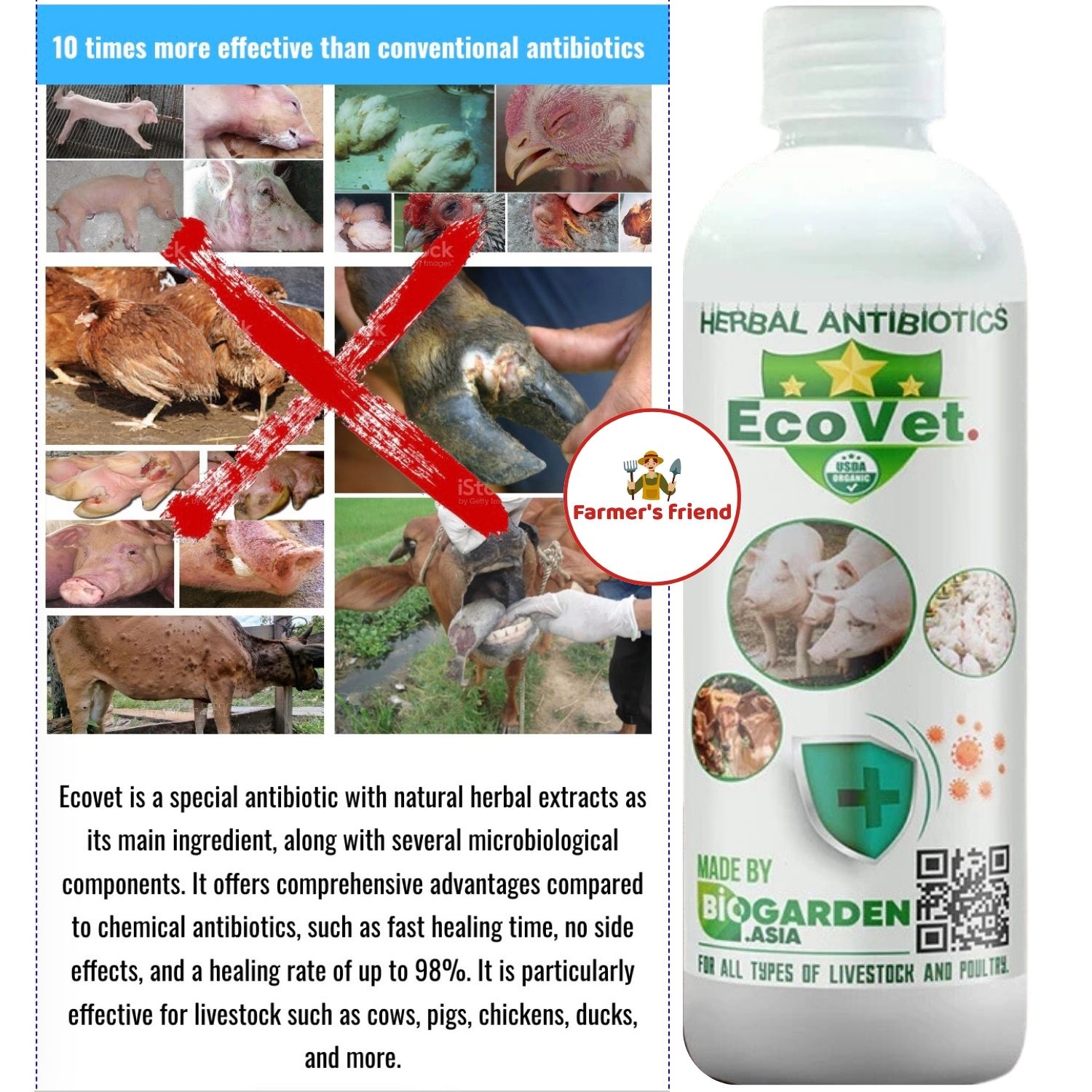 [Big Save] Ecovet 1000g - Probiotic Supplement Powder,Mahahalagang ...