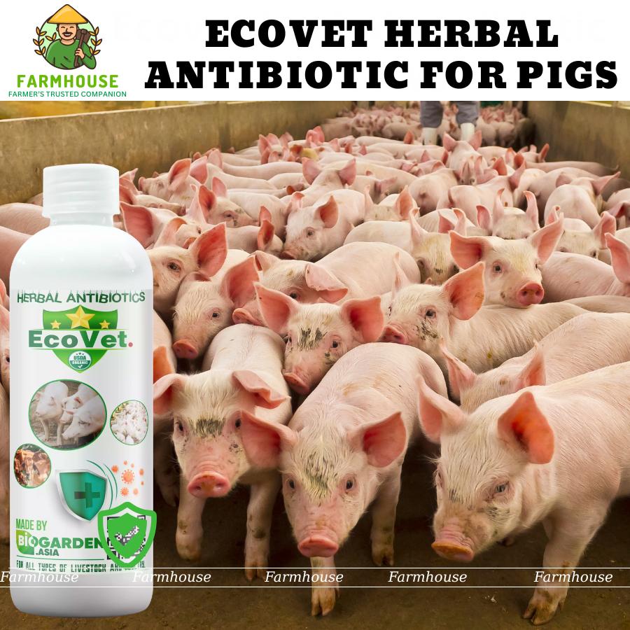 [Best Deal] Ecovet Probiotics for Livestock – Boost Growth, Cut Odor ...