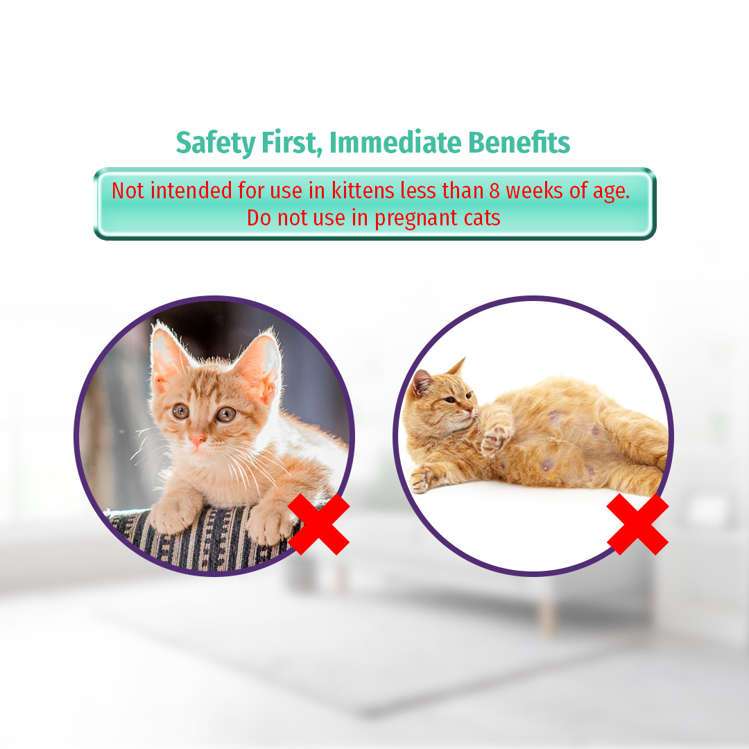 Buy 3 Free 1 Deworming Tablet For Nematocide Deworm Worm Rid Heartworm ...
