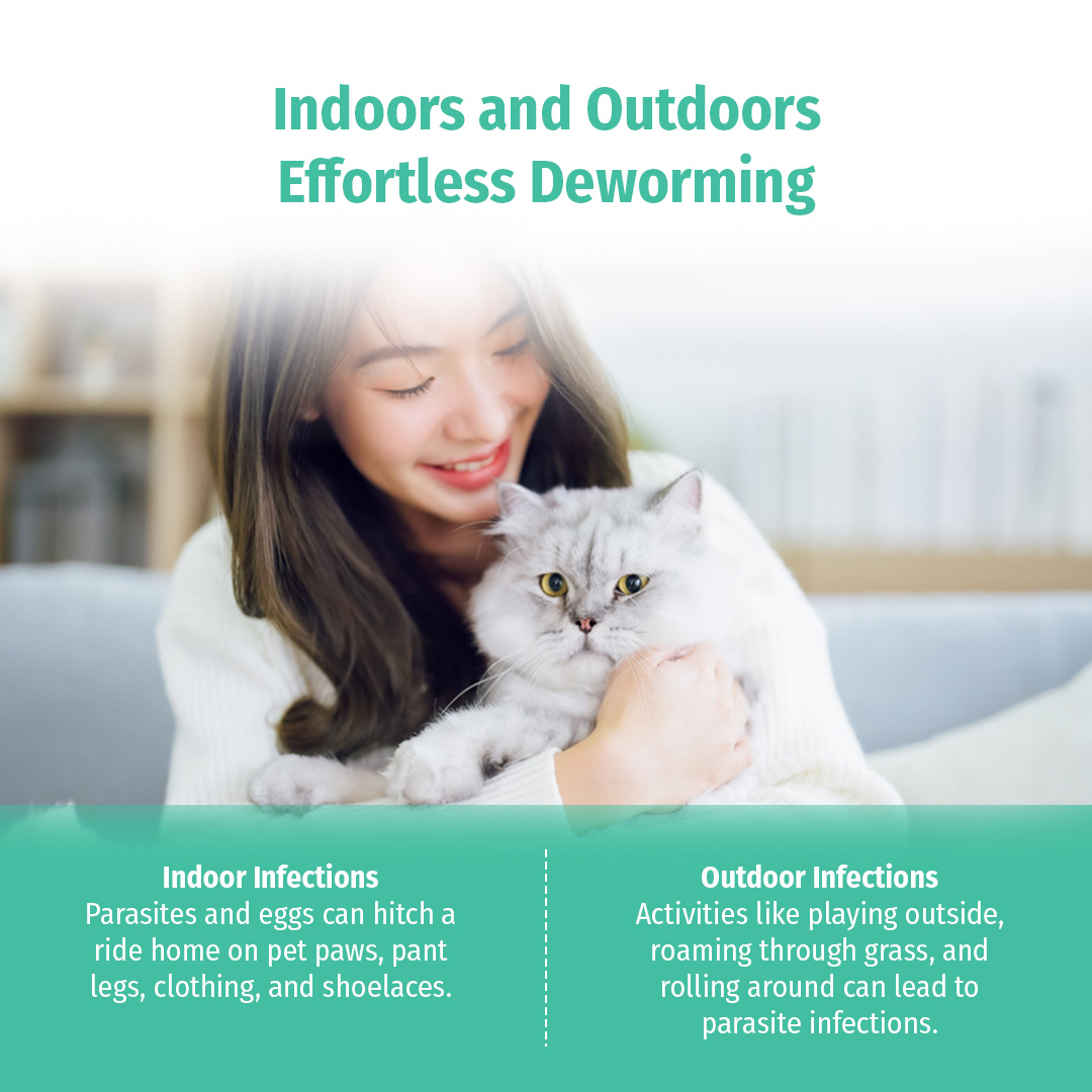 Buy 3 Free 1 Deworming Tablet For Nematocide Deworm Worm Rid Heartworm ...