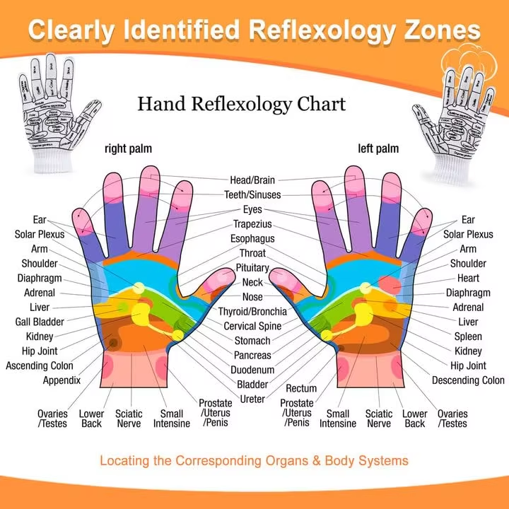 TCM Hand Reflexology Gloves Acupressure Massage Stick Hands Muscle ...