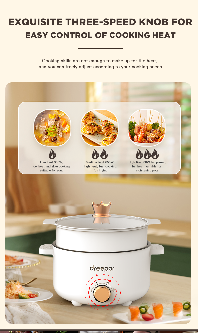 Dreepor Multifunctional Electric Cooker With Steamer Rice Cooker Hot ...