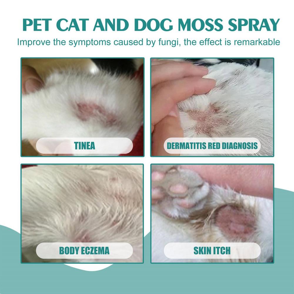 Pet skin treatment spray 500ml Pet Anti fungal Spray Dog Allergies ...