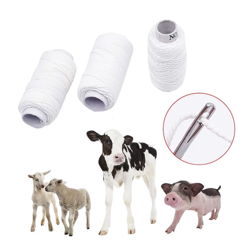 10Pcs Stainless Suture needles Veterinary Surgical Suture curve needle ...