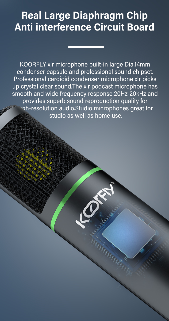 KOORFLY F22 PRO 48V Condenser Microphone Set With Large-Diaphragm 34 ...