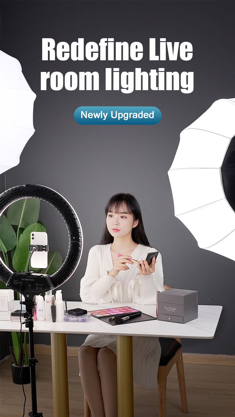 Professional Studio Flash Light 200W/400W Photography Light Flash Soft ...