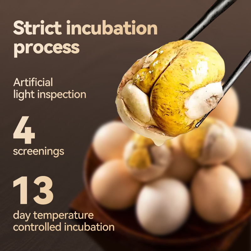 50pcs Balut Egg ready to eat Balot Spicy Egg Flavored Balut Salted Egg ...