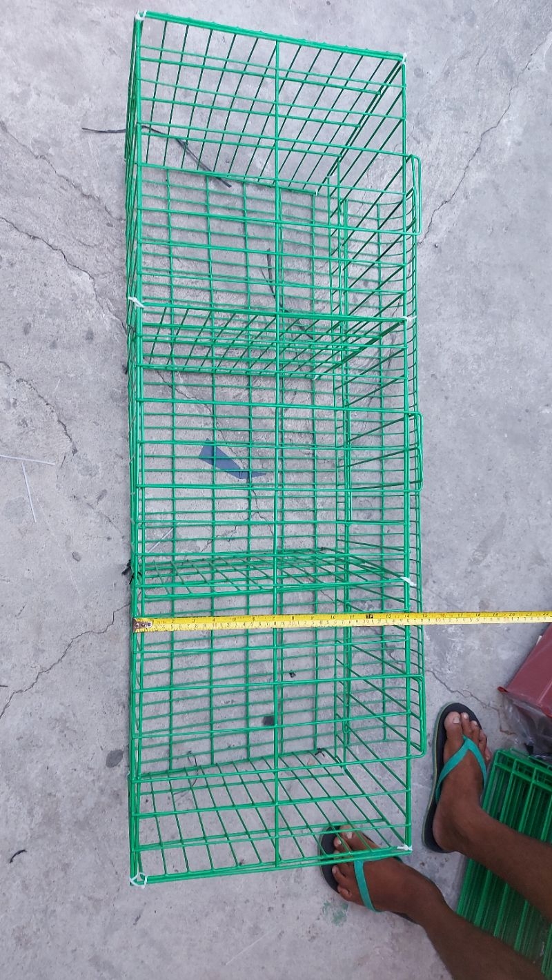 battery cage 3door for chicken hen. paitlogan ng manok. steel coated ...
