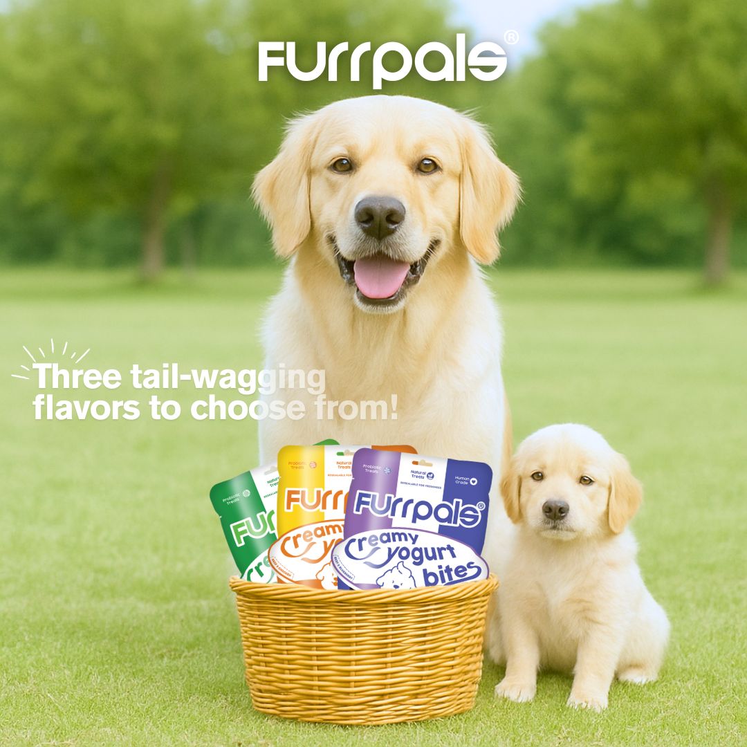 Furrpals Creamy Yogurt Treat 200g Pet Dog Food Beef Dog Treats Dog ...