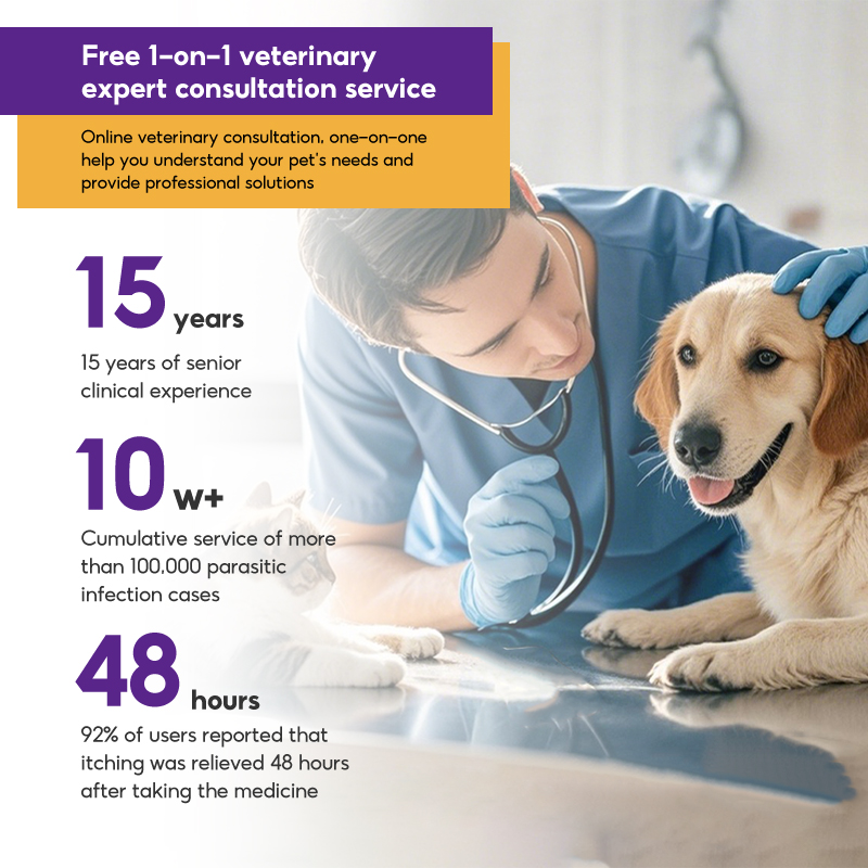 PET VIGOR Antifungal Pipot Skin Spray For Dogs And Cat Skin Disease ...