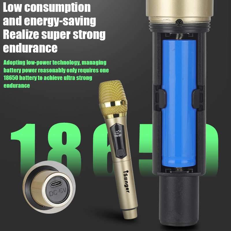 Professional Wireless Microphone Rechargeable UHF Dual Mic Set for ...