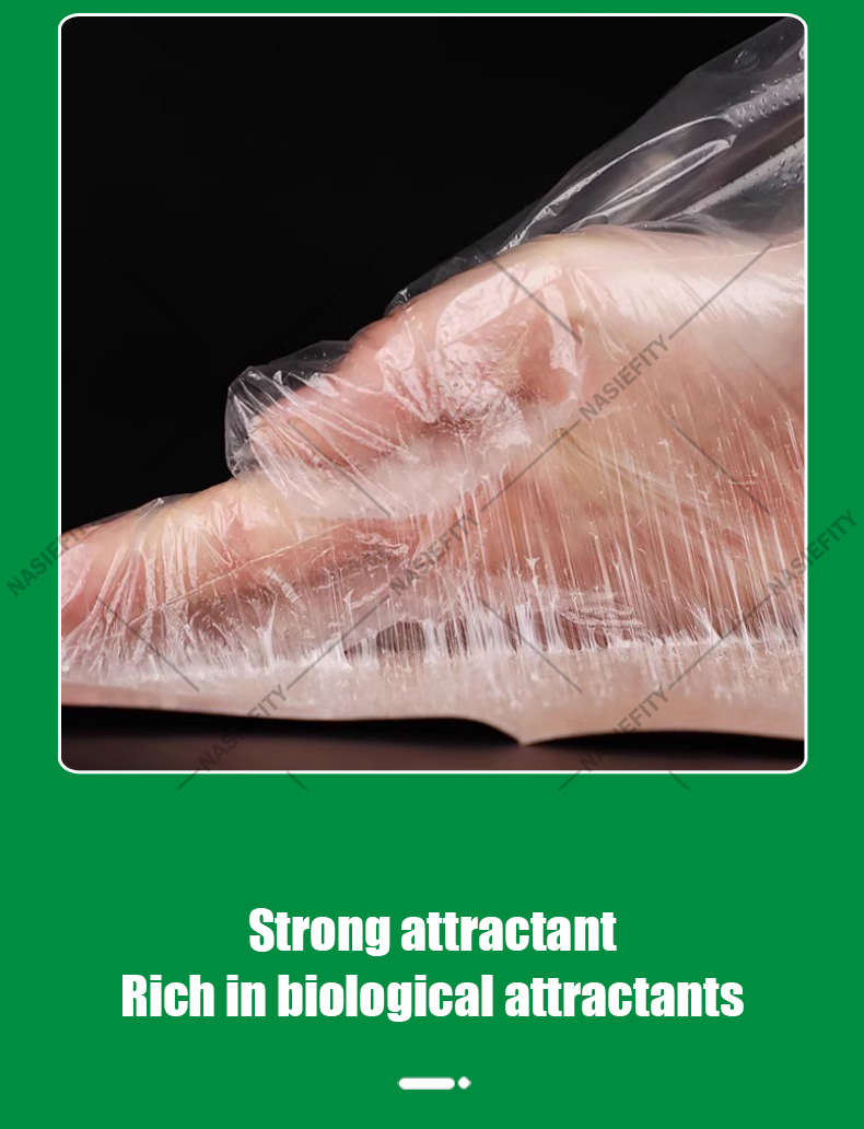 50Pcs Japan Strong Flies Traps Bugs Sticky Board Double-Sided Sticky ...