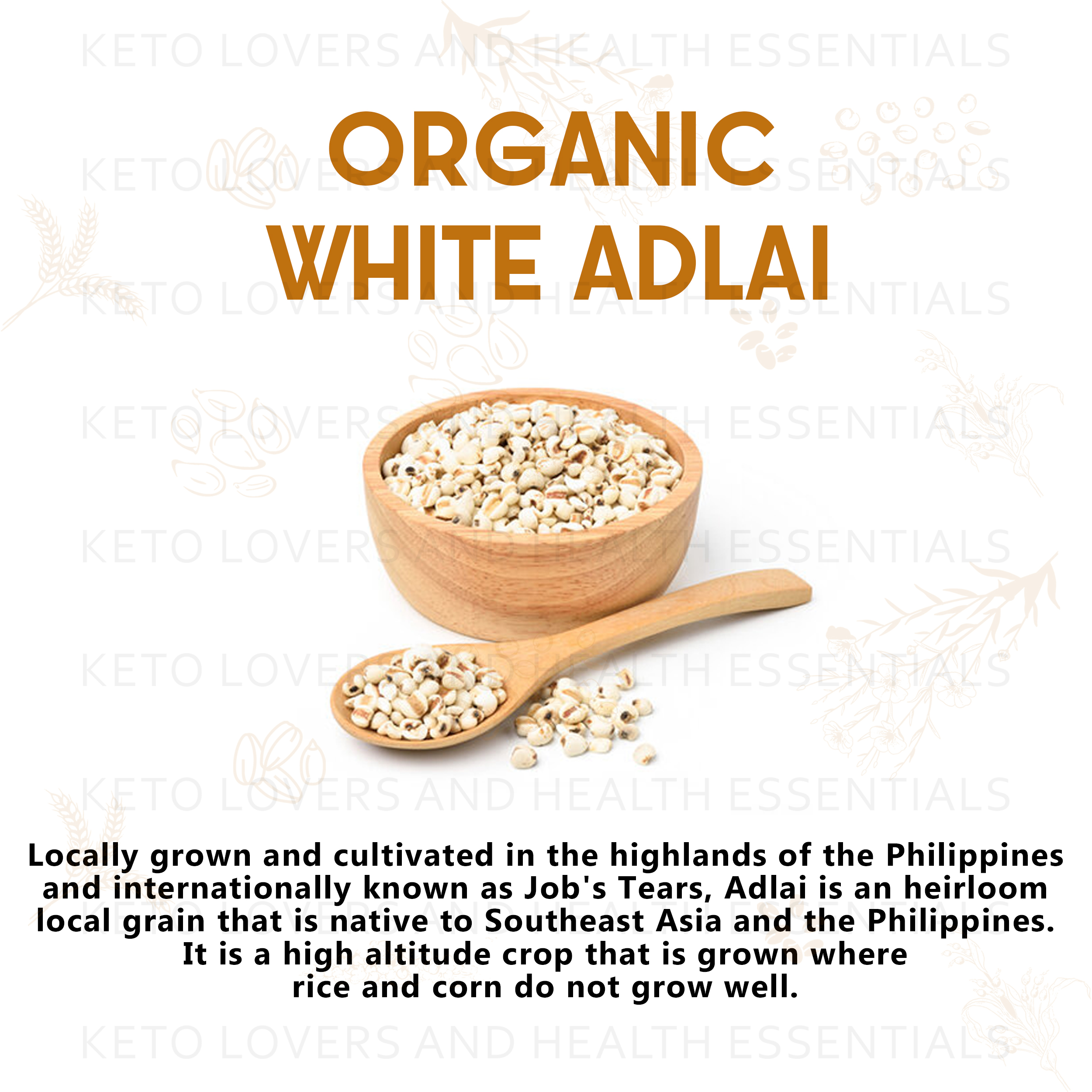 ADLAI — White Adlai, Gluten-free, Non-GMO, Vegan-friendly Rice ...