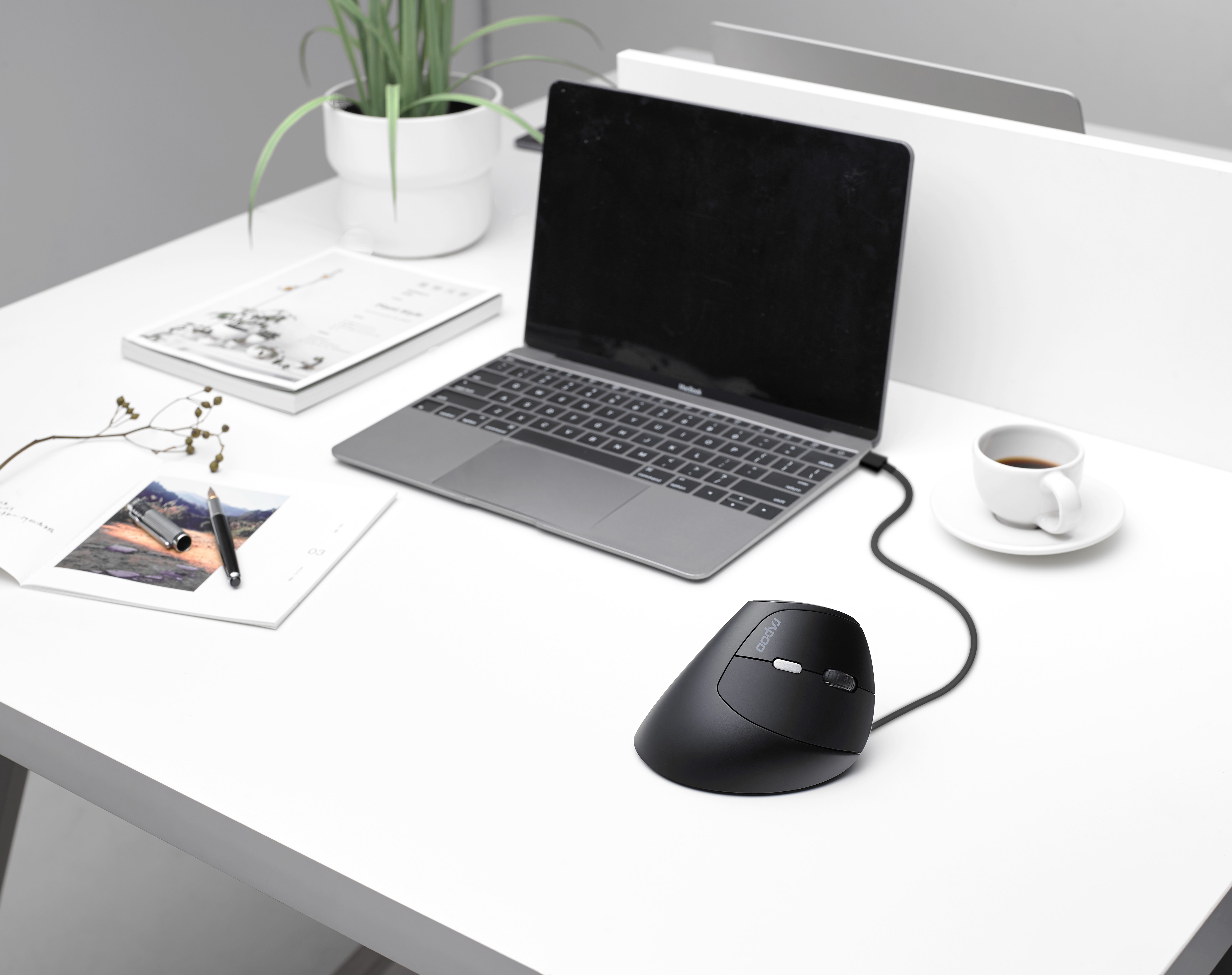 Rapoo EV200 Silent Vertical Optical Wired Mouse (Black) | Shopee Philippines