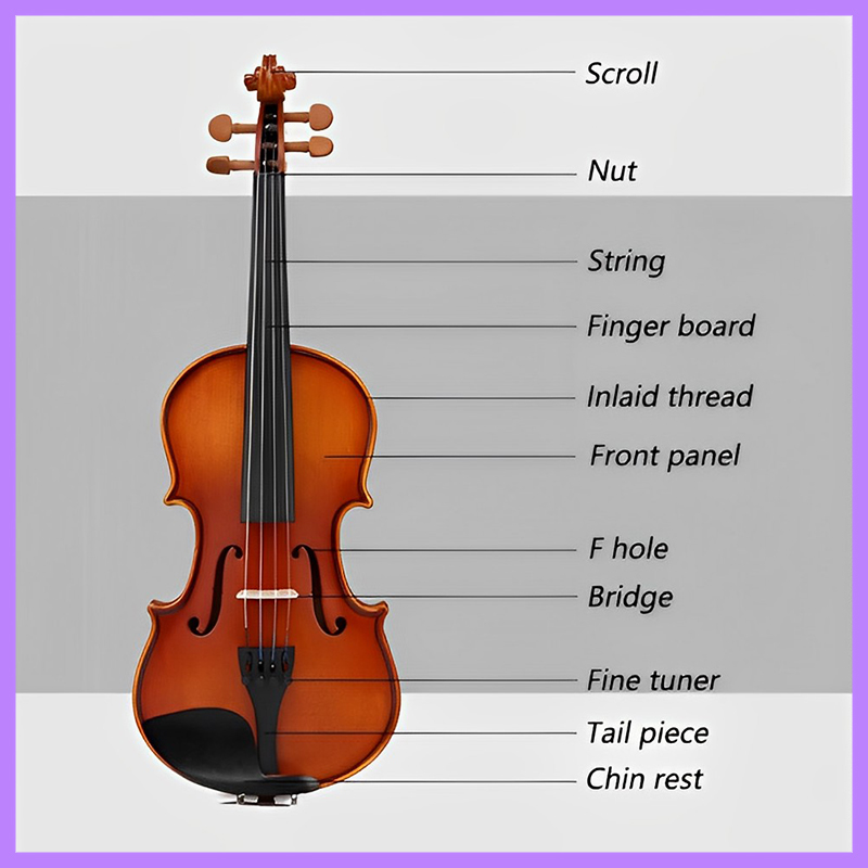 4/4 Full Size Violin Set for Beginners -Adult/Student Starter Kit with ...