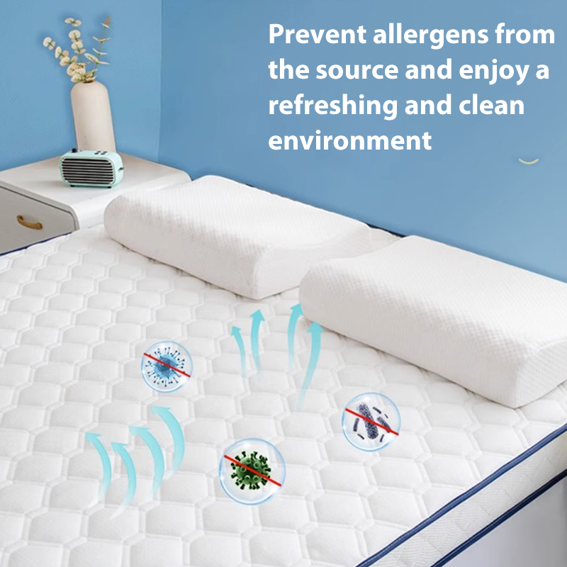 10inch Thickening 3D Composite Latex Mattress Spring Deluxe Memory ...