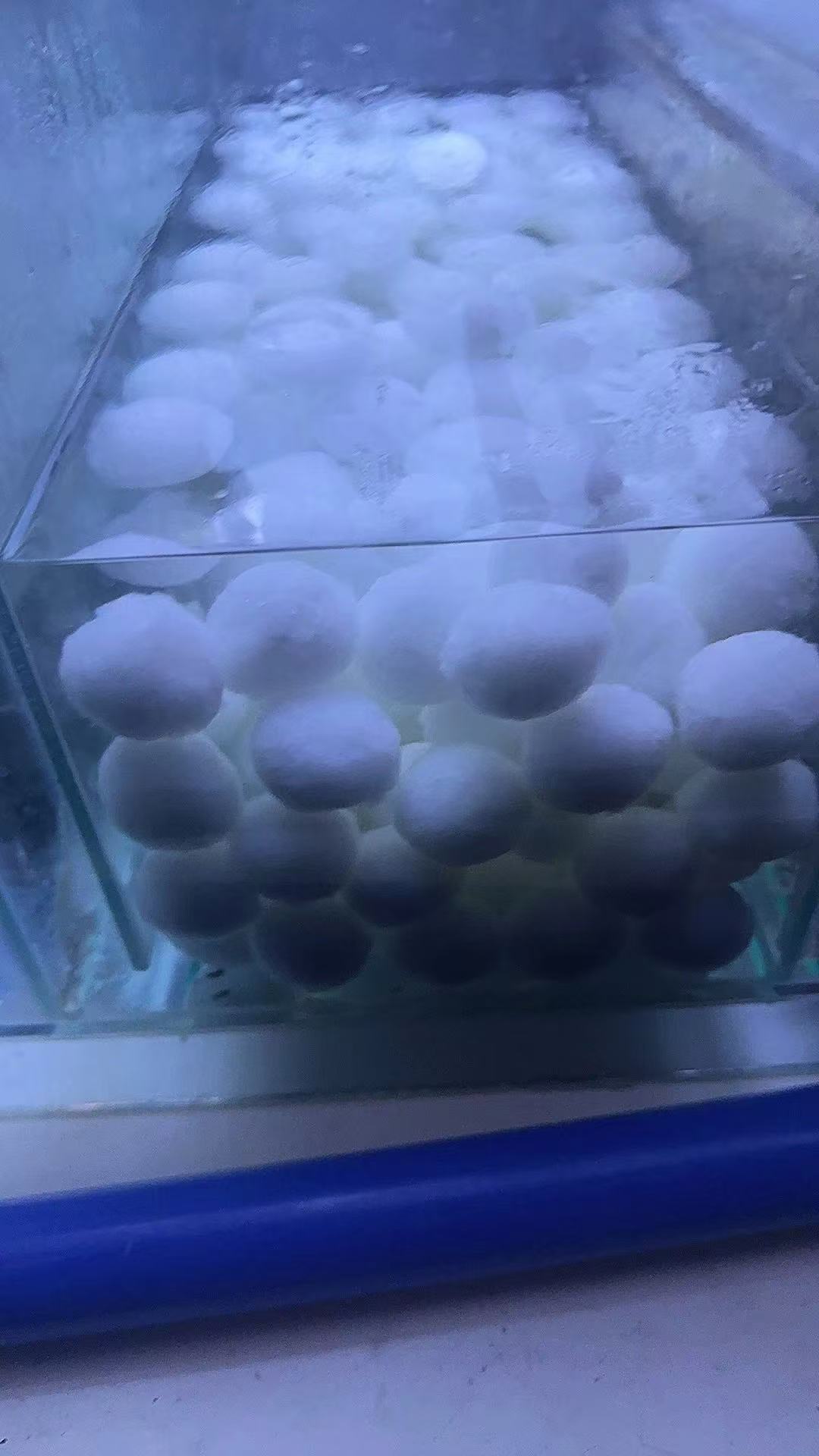 【COD】Pool Filter ball， Environmentally friendly pool cleaning filter ...