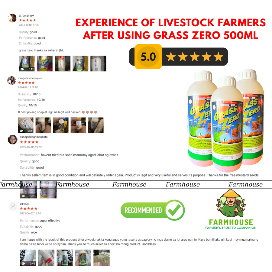 Grass Zero Herbicide 500ml – Eliminates Tough Weeds, Safe for Corn ...