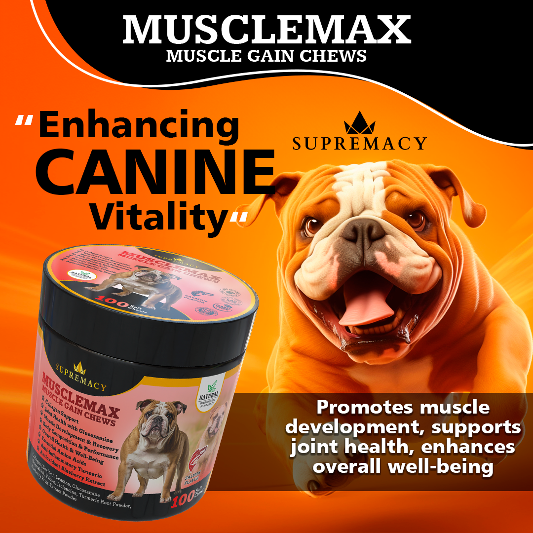Supremacy Muscle Max Dog Treats & Vitamins Support Beef Growth ...