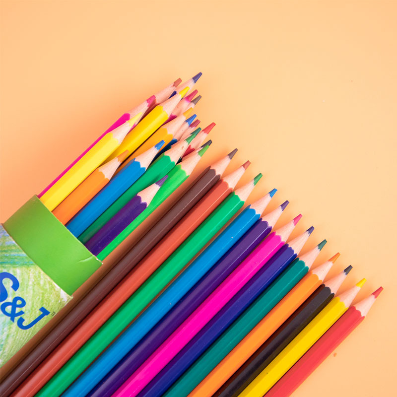 Colored Pencil Barrel Oil Colored Lead 48/36/24/18/12 color Secret ...