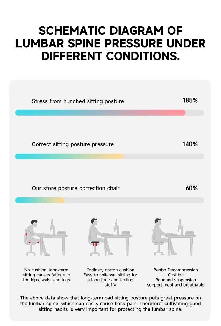 Evora Posture Corrector Chair LumbarBack Support Chair Cushion Curable ...