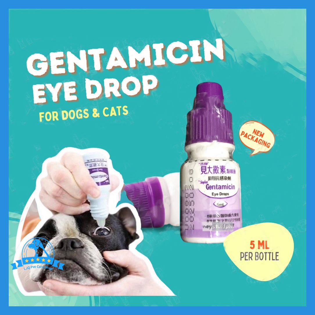 【Buy 1 take 1】Gentamicin Eye Drops for Pet Cat Dogs Eye Infection ...