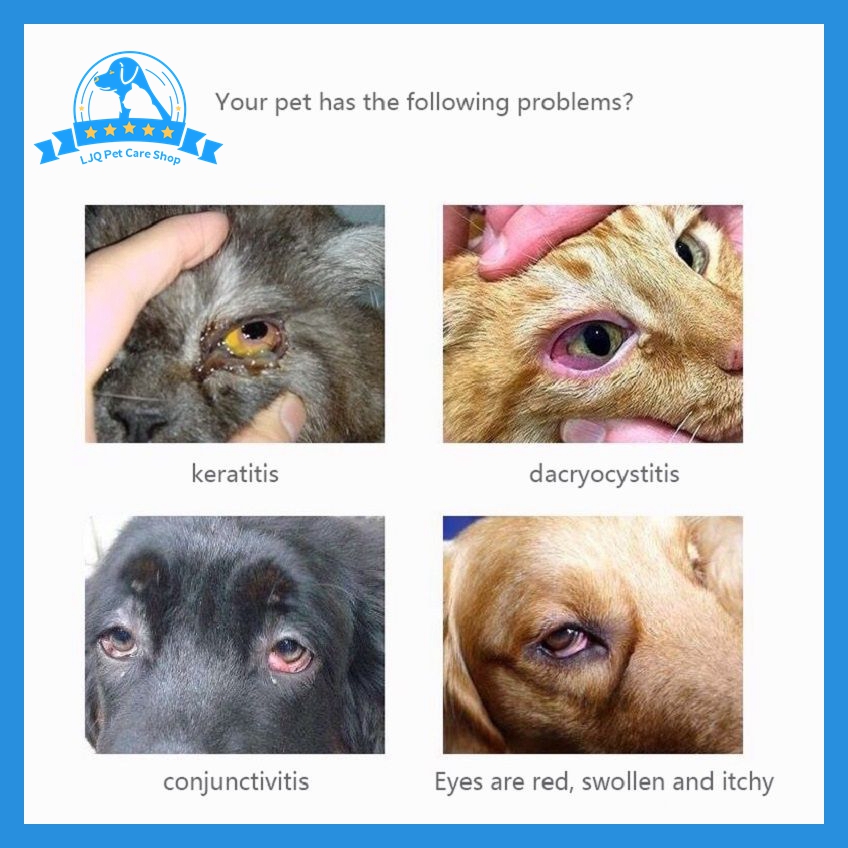 【Buy 1 take 1】Gentamicin Eye Drops for Pet Cat Dogs Eye Infection ...