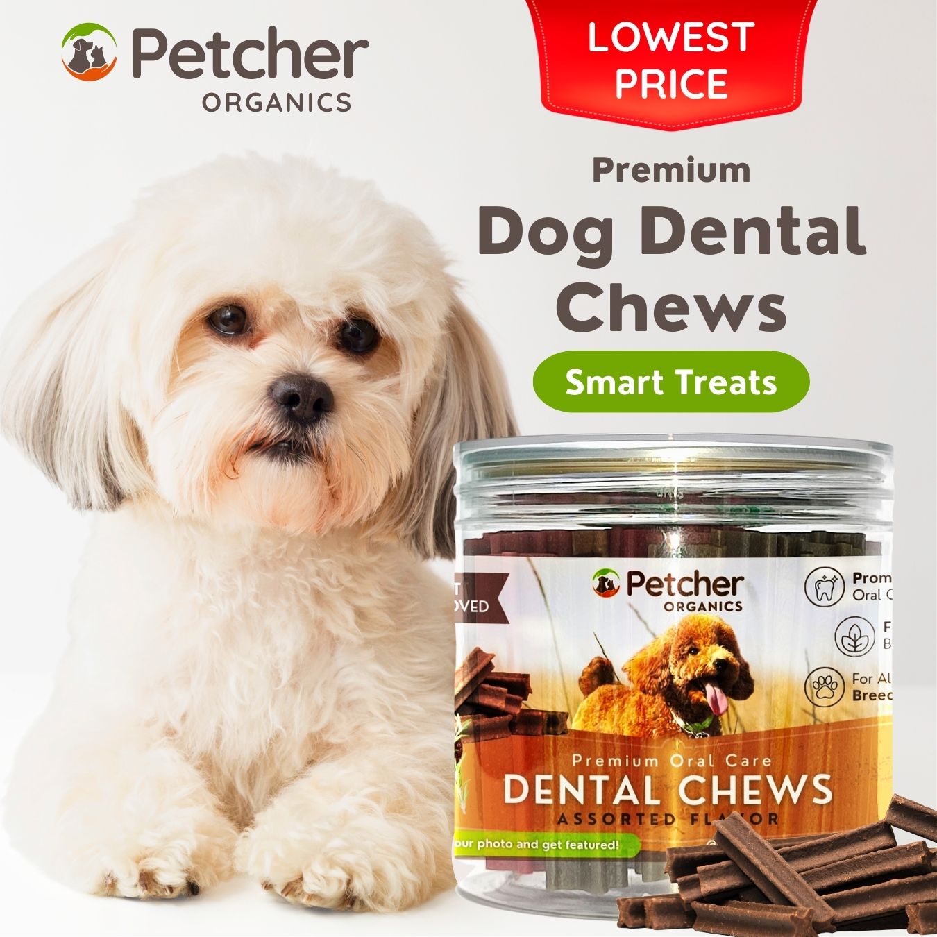 Petcher Assorted Flavor Dental Sticks in Jar Dental Care Treats and ...