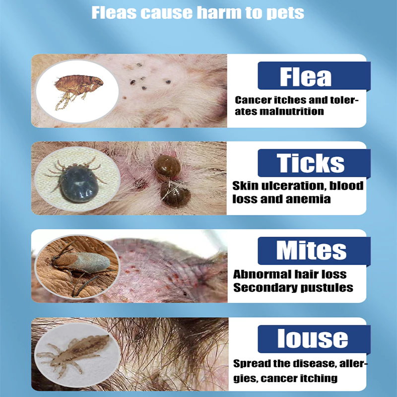 510ML Flea and Tick Remover for Dog and Cat Anti Garapata Remover for ...
