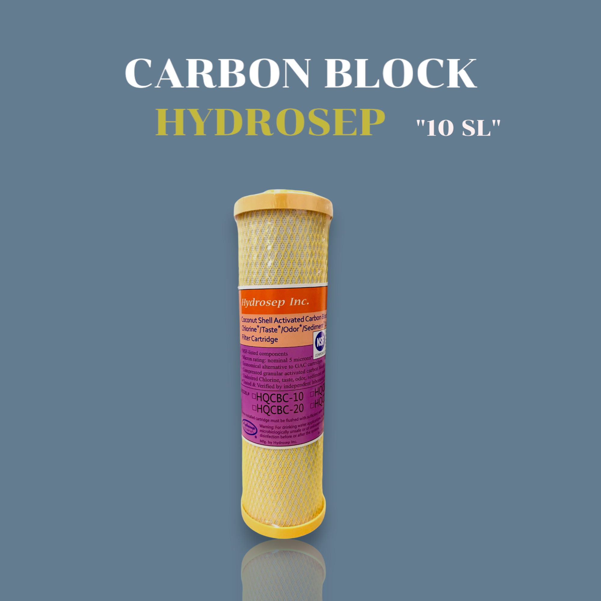 Hydrosep 20SL Activated Carbon Filter Black CTO | Shopee Philippines