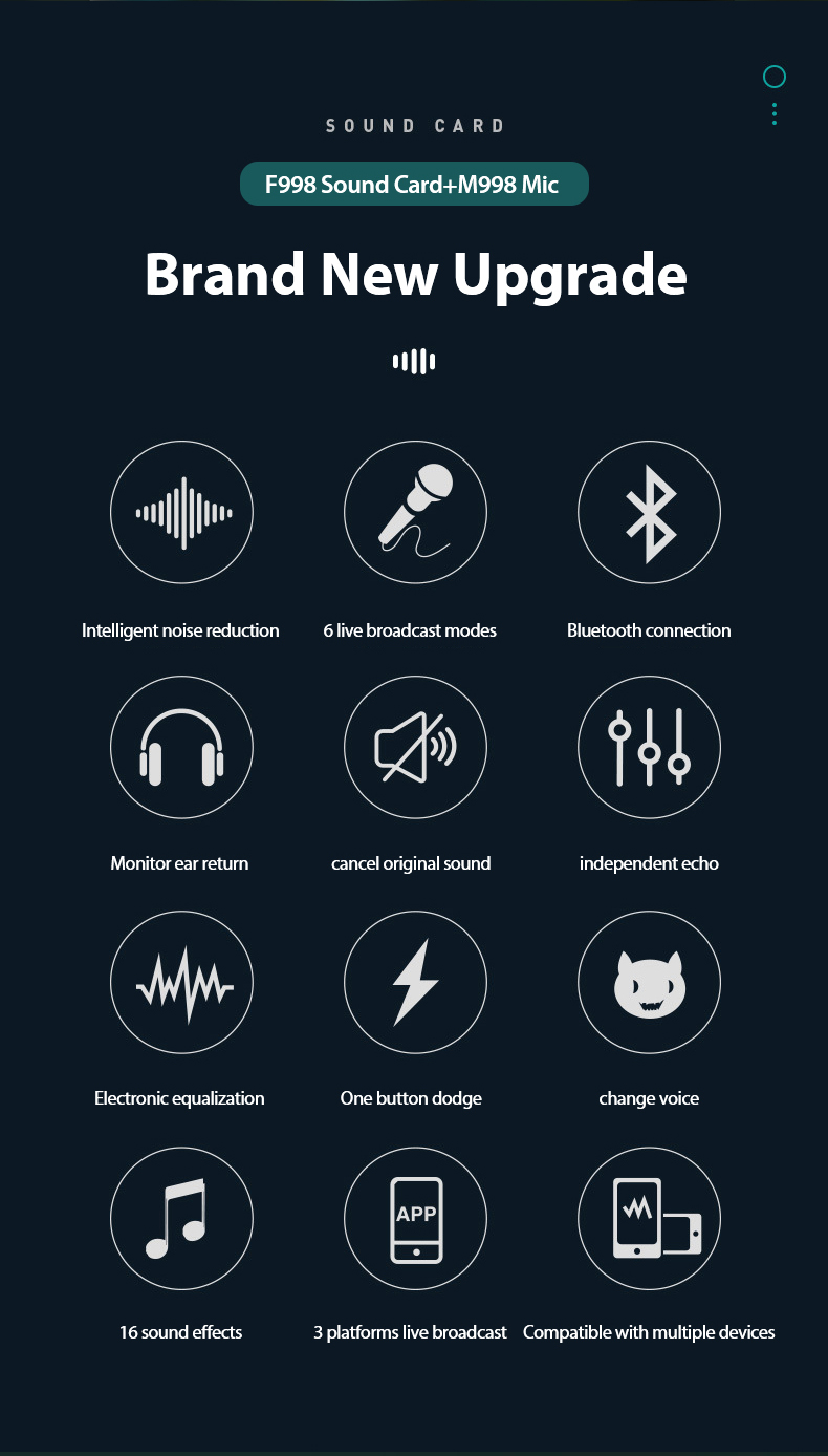 KOORFLY F998 PRO Live Sound Card Mic Kit Professional Sound Mixer Mic ...