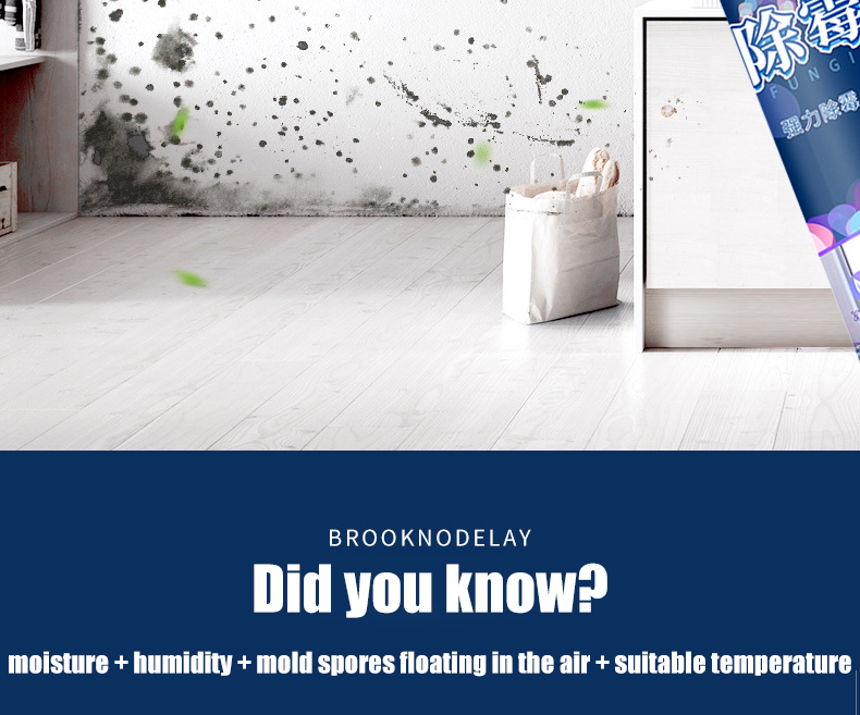 Mold Remover Spray 500ml - Fast-Acting Anti-Mold Solution for Bathroom ...