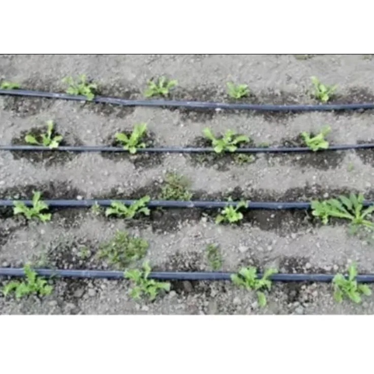 [JAPAN] Drip Irrigation Hose Tape 16mm, 500/1000m,20/30 spacing Soaker ...