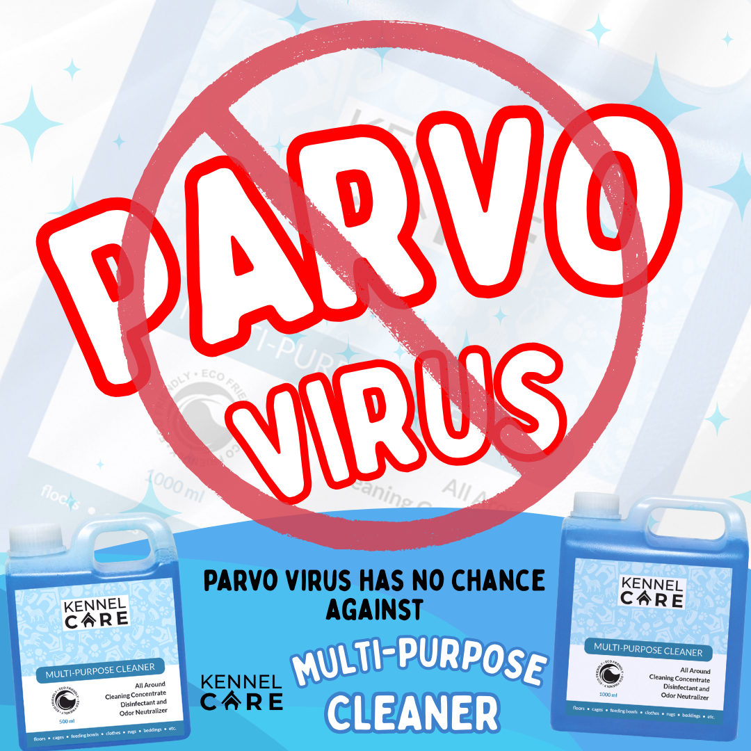 LKJ- Anti-parvo Bacteria Odor Neutralizer & Disinfectant Kennel Care ...