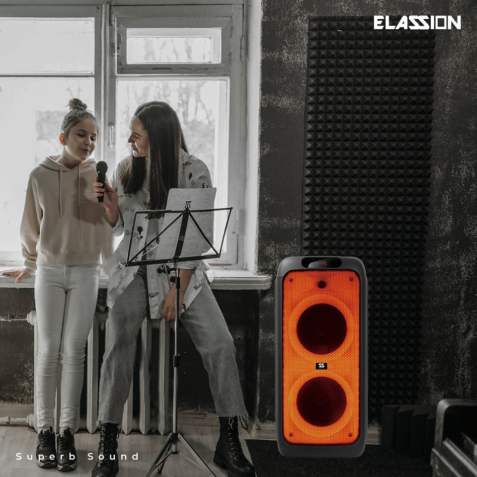 Elassion l Cosmic 8" 120W Subwoofer Portable Party Box Rechargeable ...