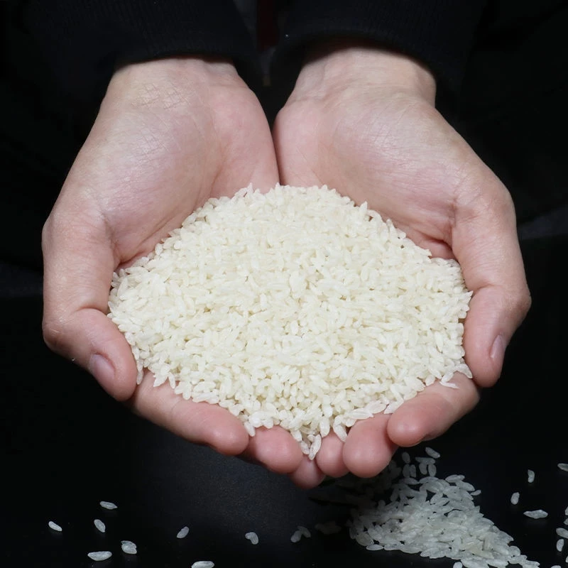 30PCS 100g Dried Shirataki Rice Konjac Rice Keto Low Carb | Shopee ...